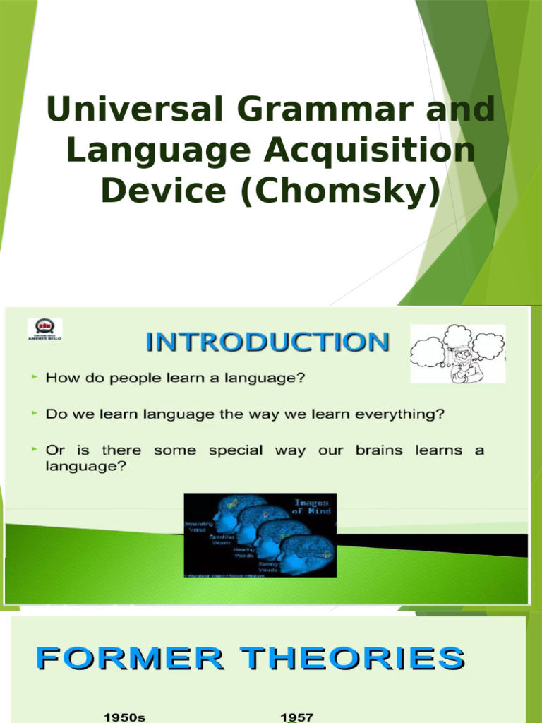 Universal Grammar and Language Acquisition Device (Chomsky | PDF
