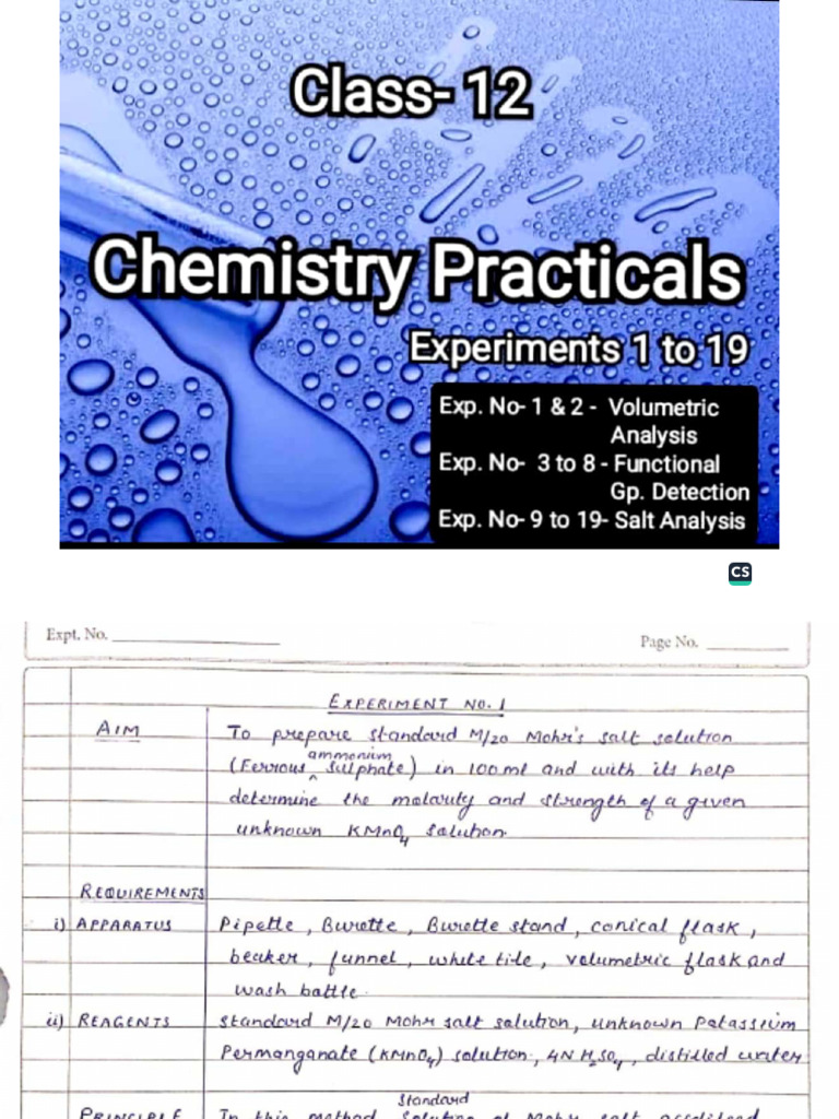 Class12 Chemistry Practicals | PDF
