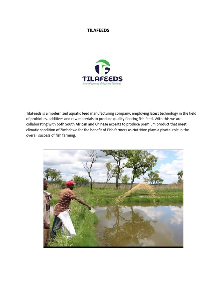 TILAFEEDS_fish_feeding_chart&_fish | PDF | Water
