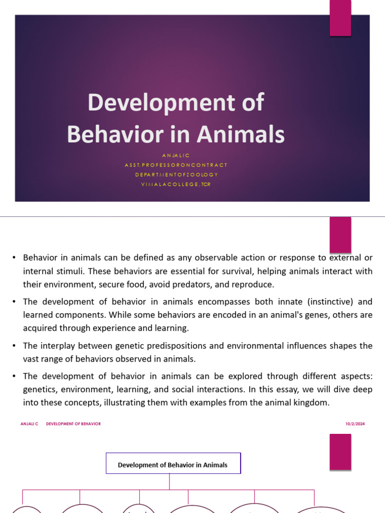 Animal Behavior Development Insights | PDF | Classical Conditioning | Pack (Canine)
