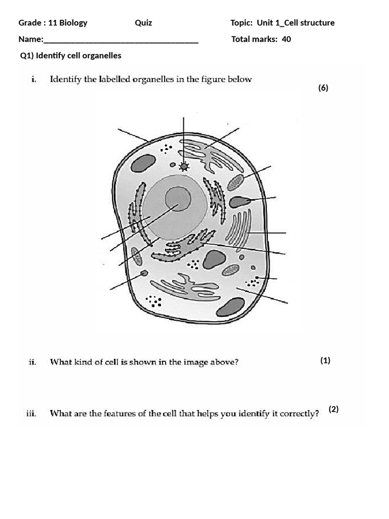 11 AS - Biology - Quiz - Cell Structure | PDF