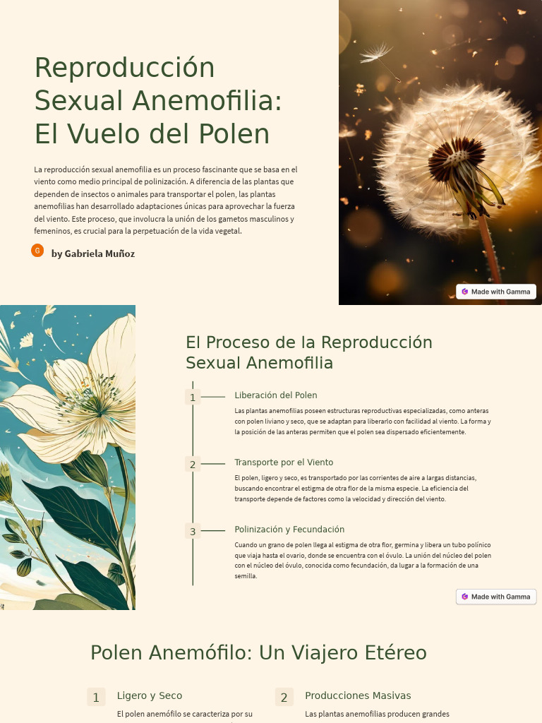 Reproduccion Sexual Anemofilia El Vuelo Del Polen | PDF | Polen | Flores