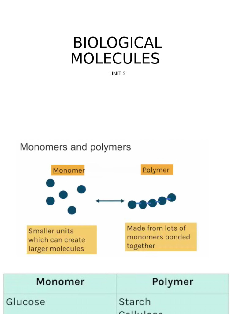 Unit 2 - Biological Molecules - Tests | PDF | Carbohydrates | Iodine