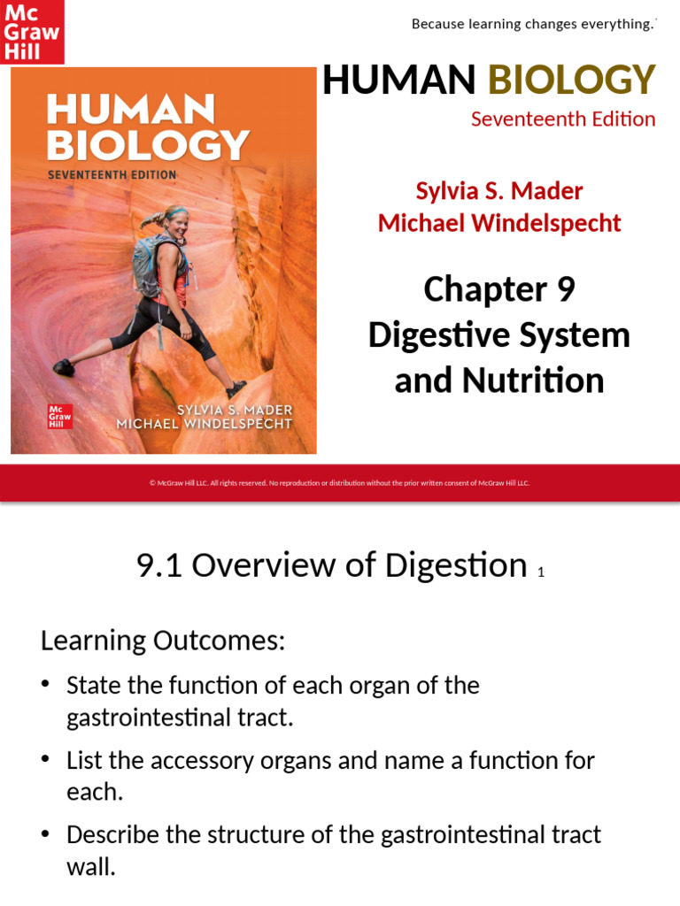 Mader 17e PPT Ch09 Access | PDF | Digestion | Stomach