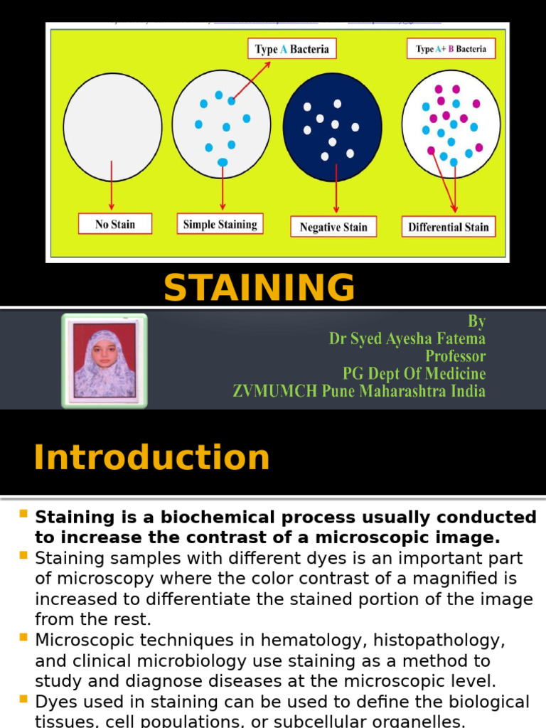STAINING | PDF | Staining | Histopathology