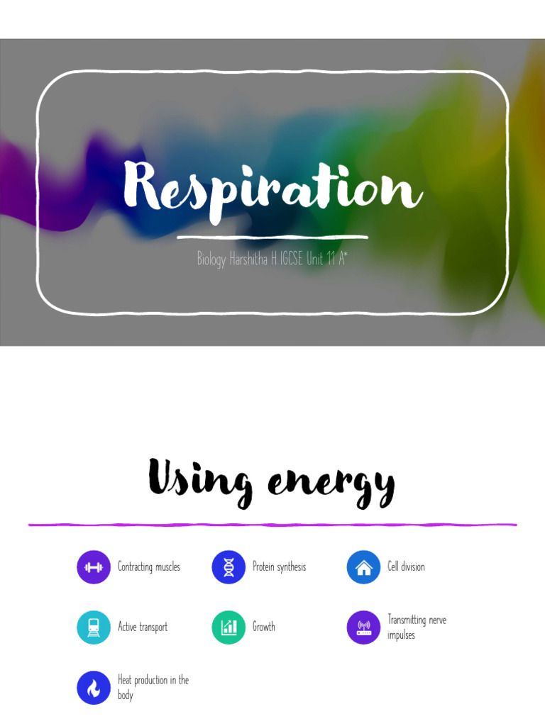 Respiration and Gas Exchange Unit 11 | PDF | Breathing | Lung