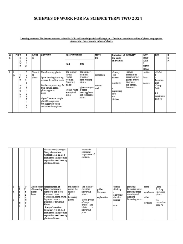 P.6 Science Scheme of Work Term 2 | PDF | Leaf | Pollination