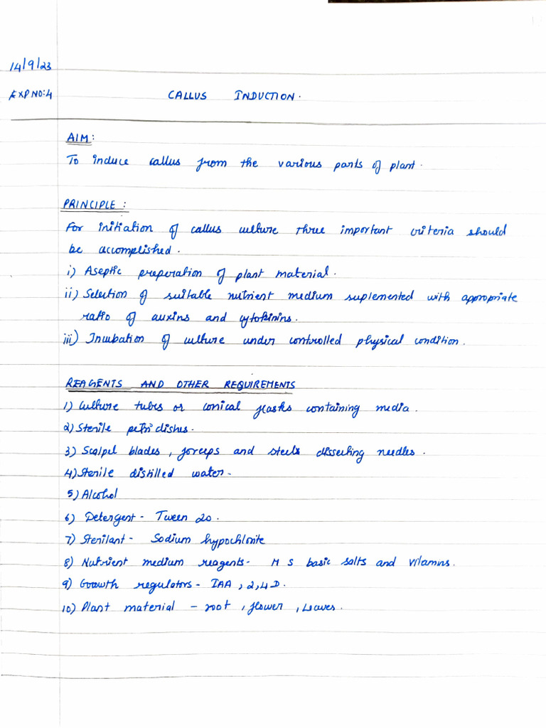 Callus Induction Protocol Overview | PDF