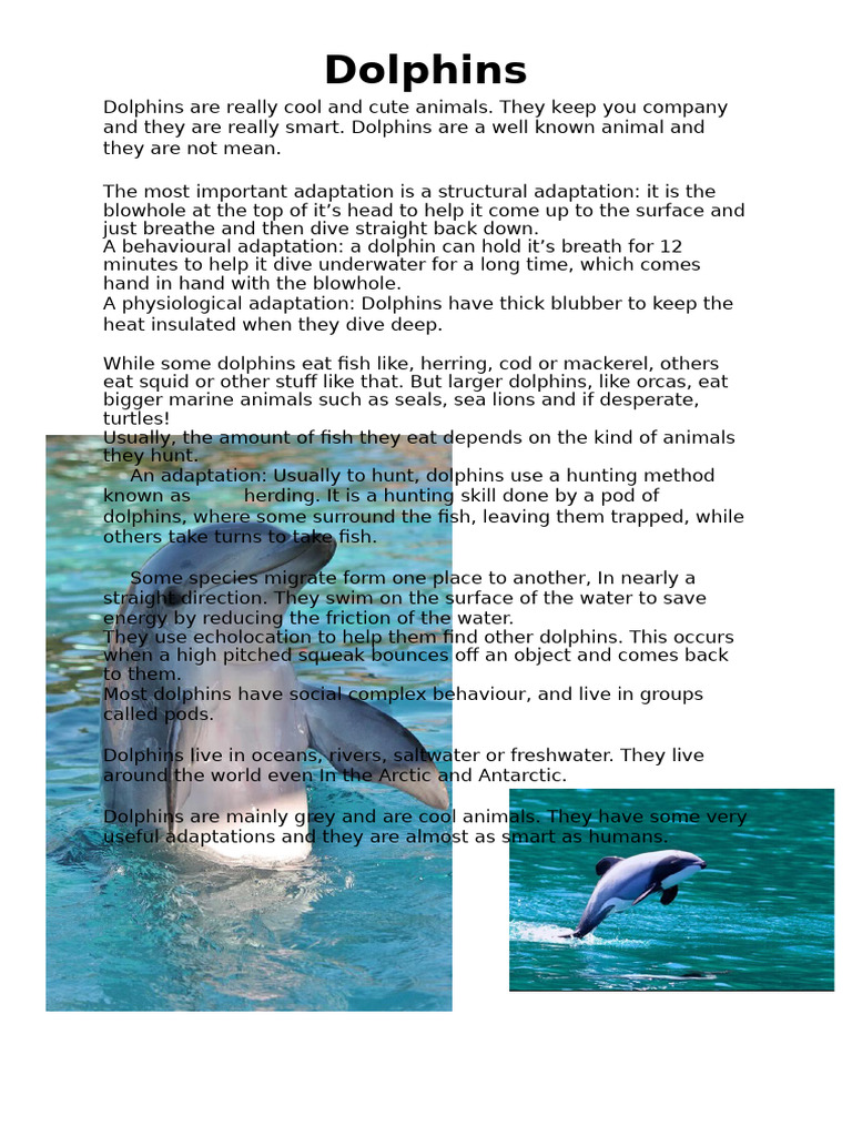 Dolphins | PDF
