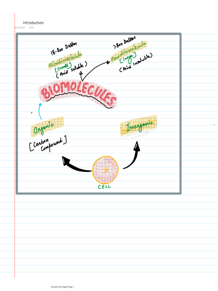 Biomolecule 1 | PDF