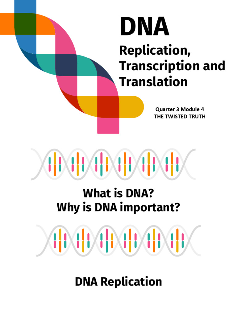 DNA-replication-transcription-translation-1 | PDF | Dna Replication ...