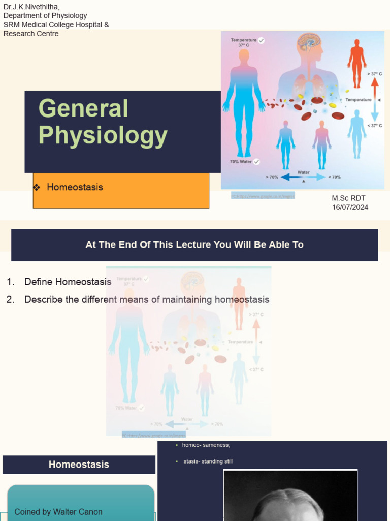 GP2 - Homeostasis Transport - Nivethitha | PDF | Homeostasis | Negative Feedback