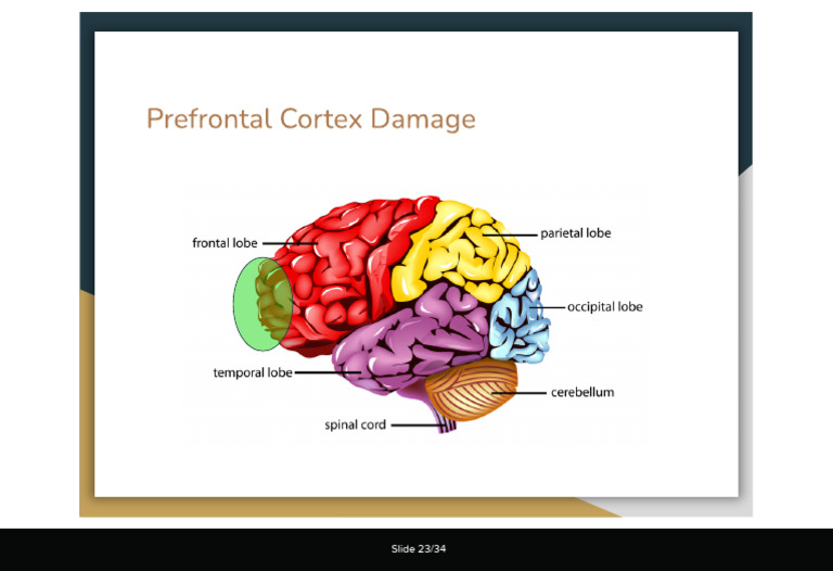 Presentation Session Student | PDF
