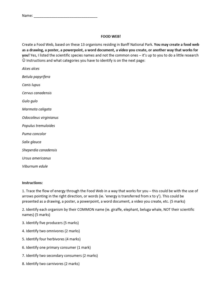 UPDATED Food Web Assignment | PDF