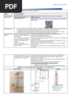 Grade 10 EGD Civil Drawings Guide | PDF | Drawing | Technical Drawing