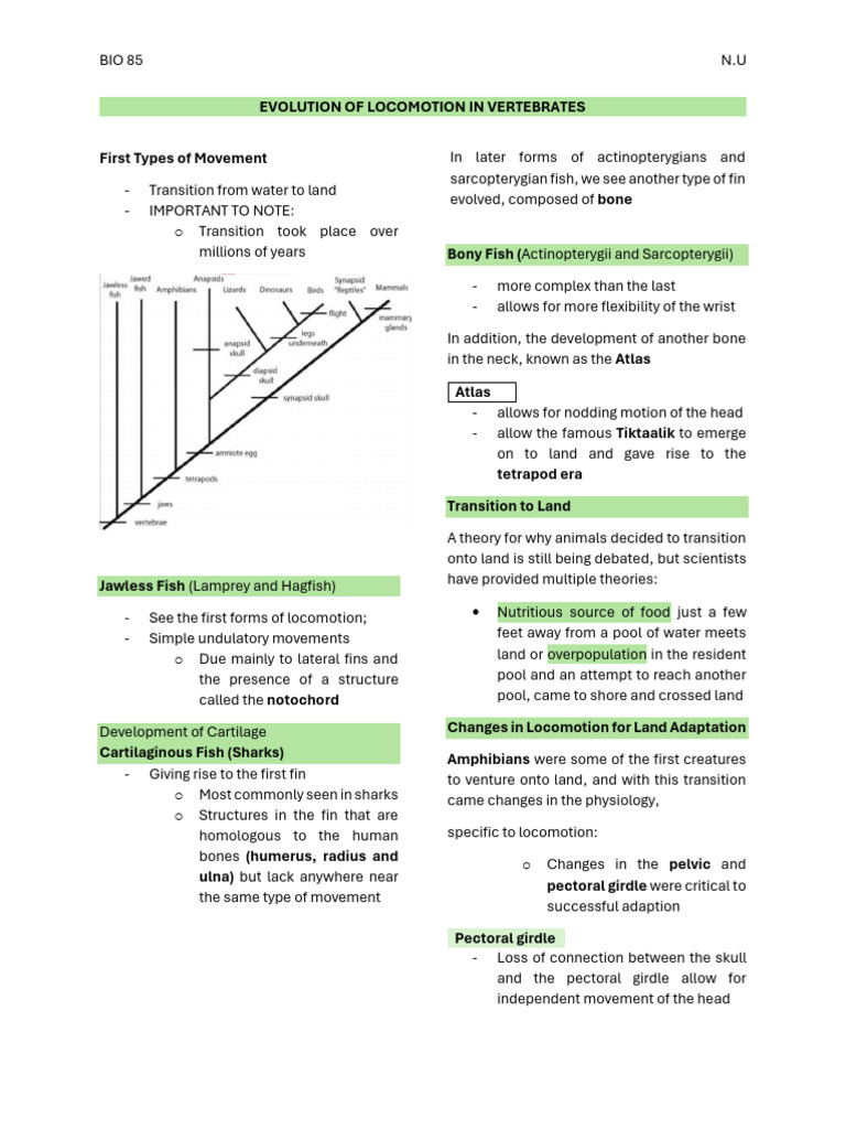 Evolution of Locomotion in Vertebrates | PDF | Pelvis | Vertebral Column