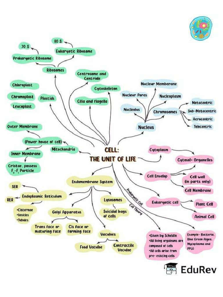 Mind Map | PDF