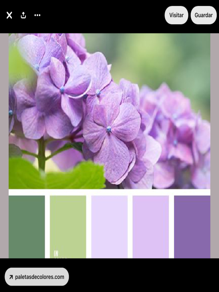 Paleta de Colores 2868 IN COLOR BALANCE | PDF