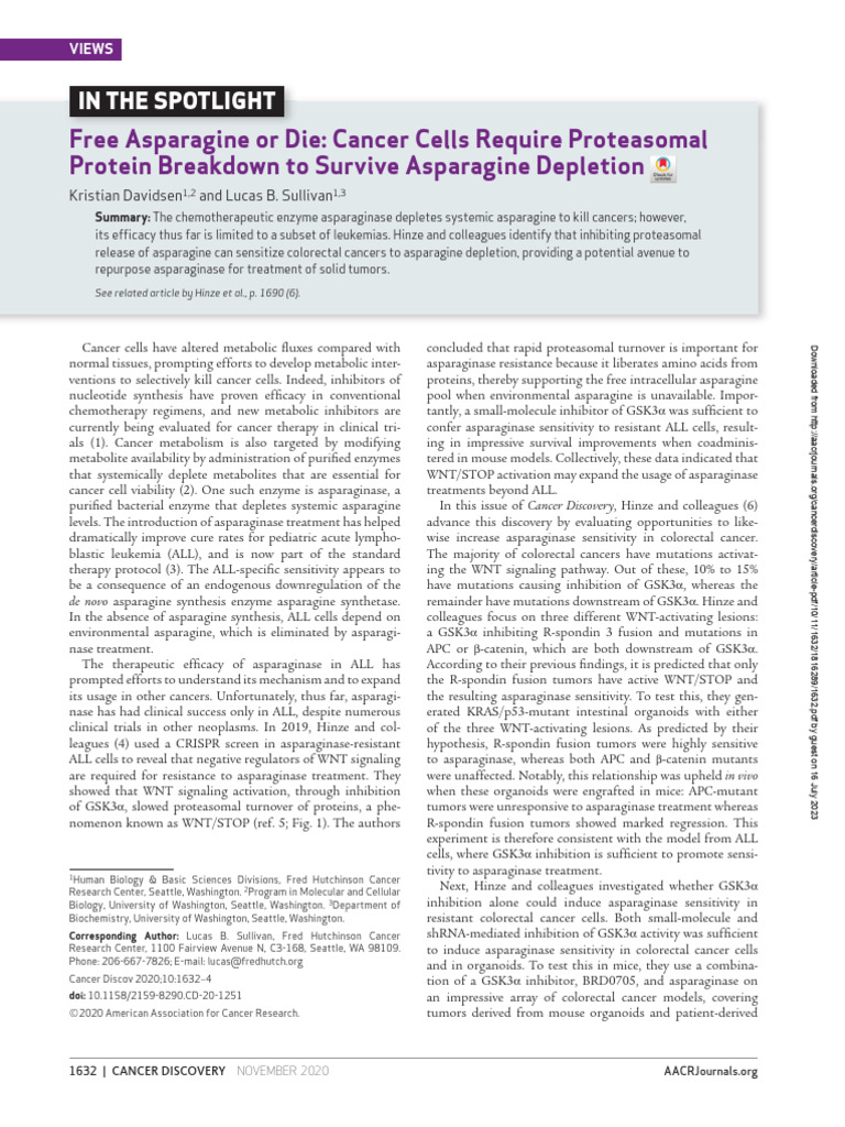 Free Asparagine or Die - Cancer Cells Require Proteasomal Protein ...