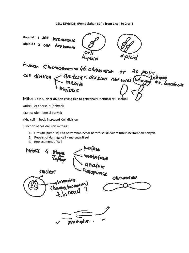 Understanding Cell Division and Mitosis | PDF