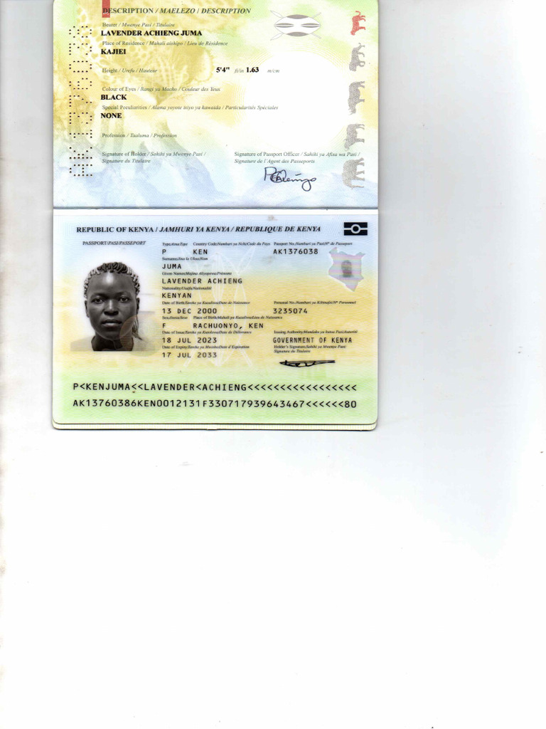 Passport | PDF