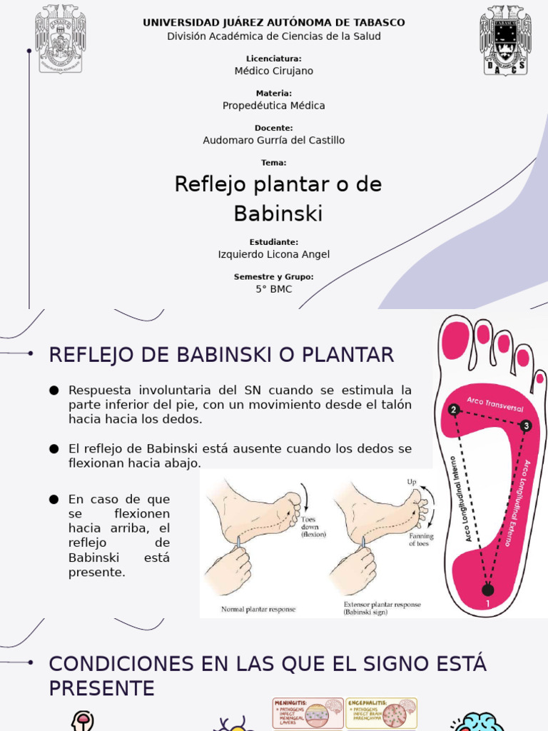 Reflejo de Babinski o Plantar | PDF