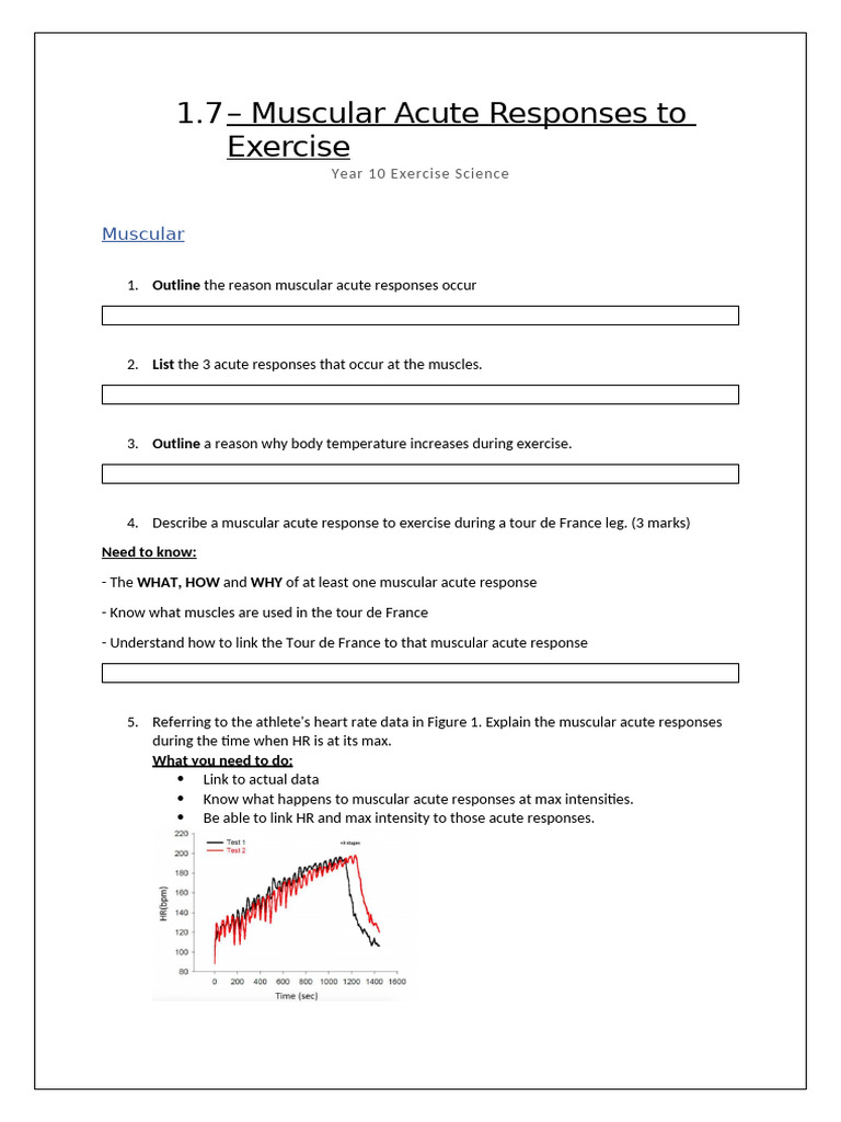 1.7 Muscular Acute Responses To Exercise | PDF