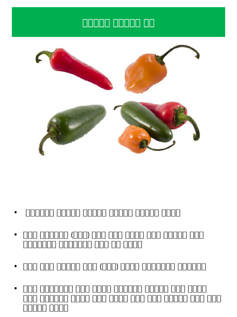Pepper | PDF