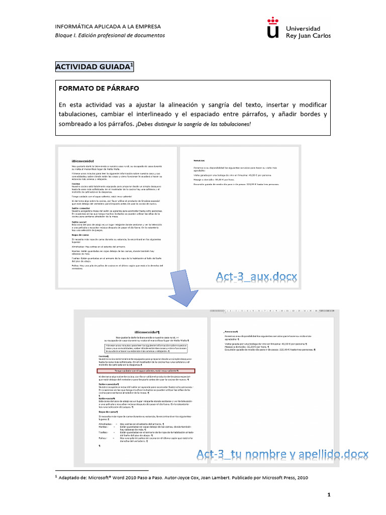 ACTIVIDAD 3_formato de párrafo | PDF | Software