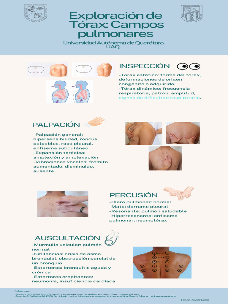 Exploración Física del Tórax y Campos Pulmonares | PDF | Sistema ...