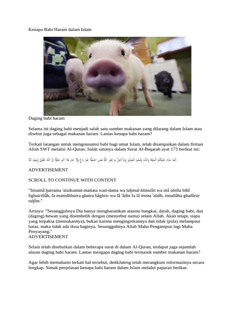 Kenapa Daging Babi Haram dalam Islam | PDF