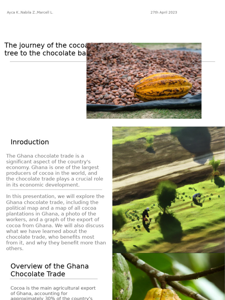 Ghana Cocoa Trade | PDF | Cocoa Bean | Chocolate