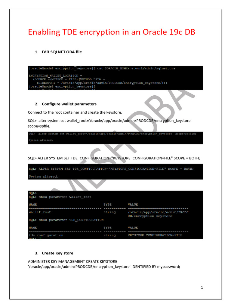 TDE wallet | PDF | Information Technology | Cryptography