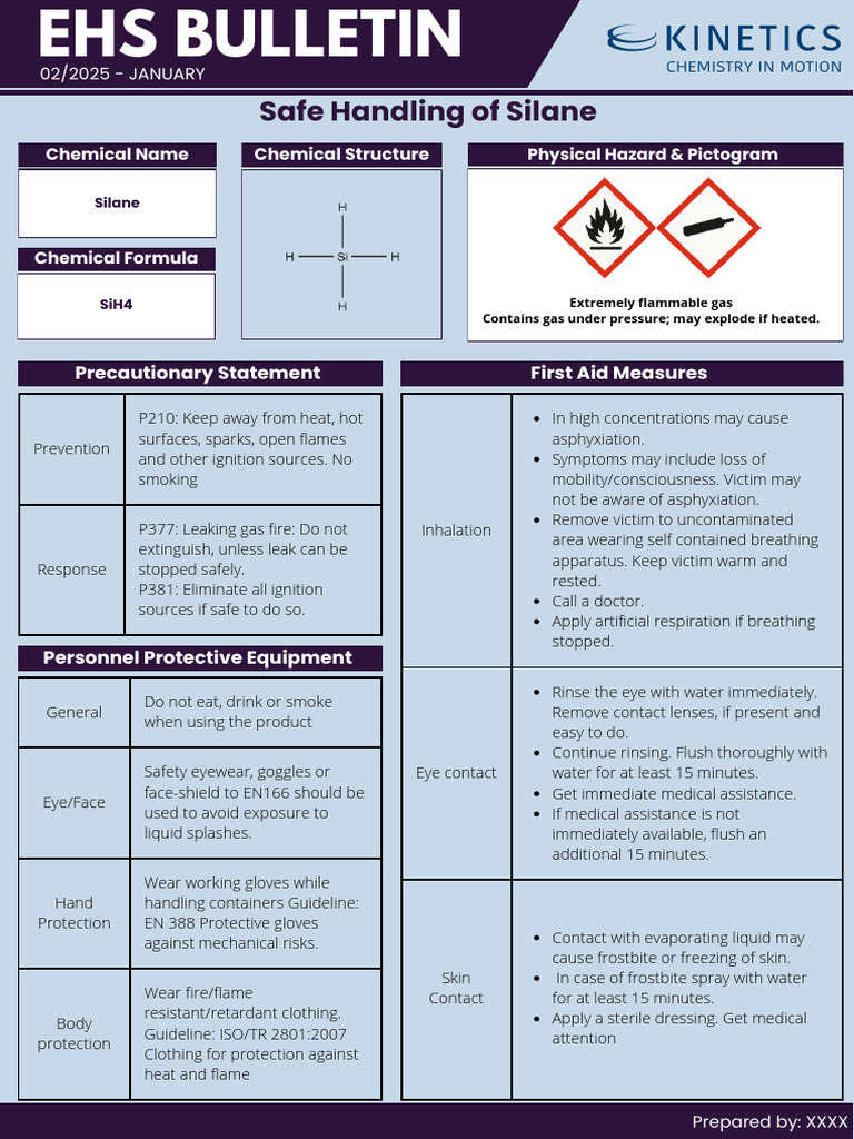 Safe Handling of Silane | PDF | Valve | Leak