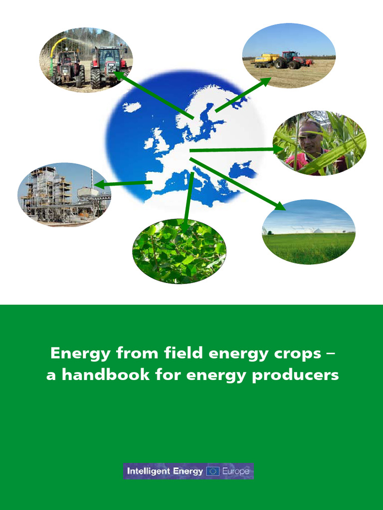 Energy From Field Energy Crops-A Handbook For Energy Producers | PDF ...