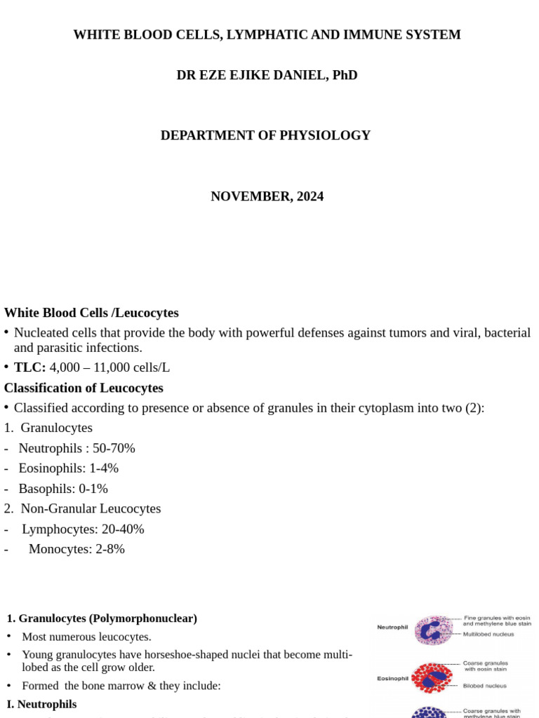 White Blood Cells, Lymphattic and Immunity Systems (DR Eze) | PDF | Lymph | Lymphatic System