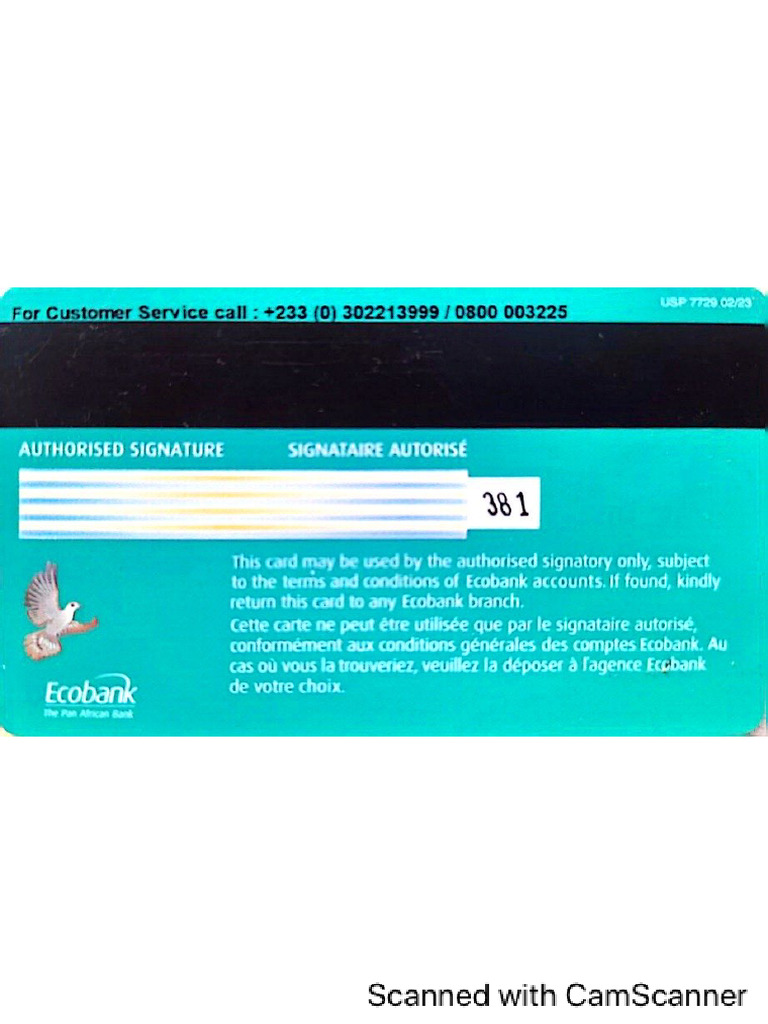 Visa Card Back | PDF