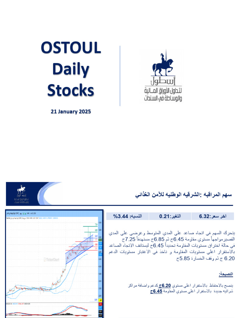 Ostoul DailyStocks 21-01-2025 | PDF
