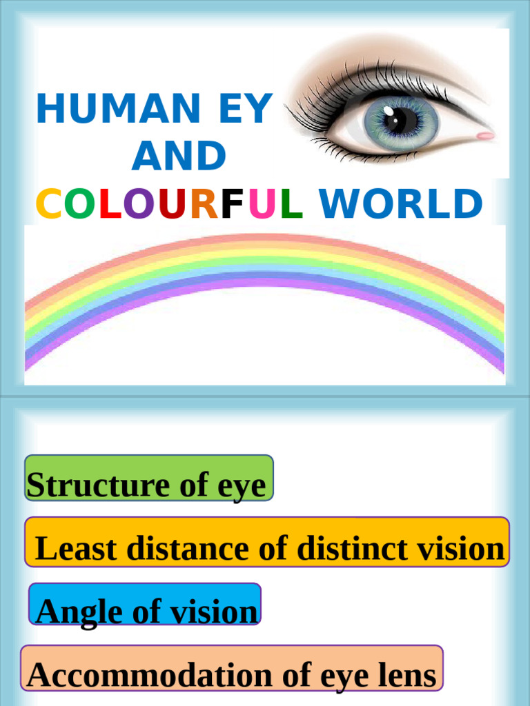 HUMAN EYE | PDF | Eye | Human Eye