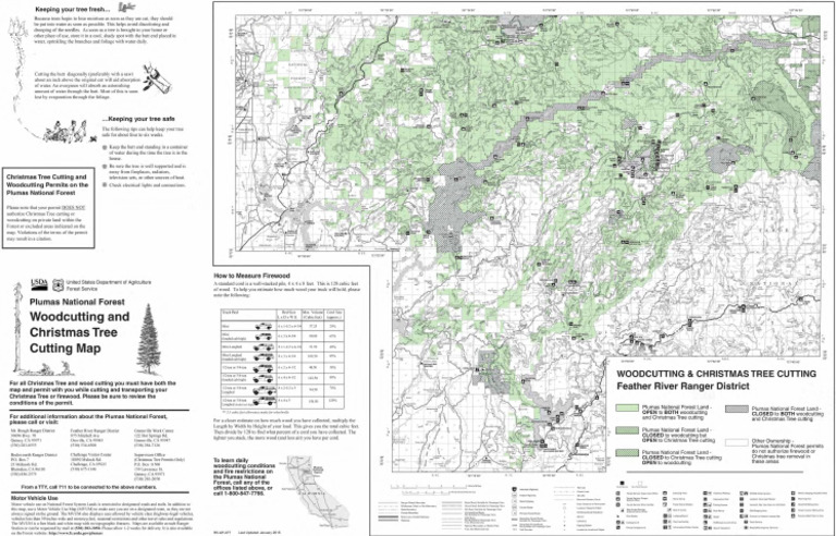 Christmas Tree Cutting Permits Guide | PDF