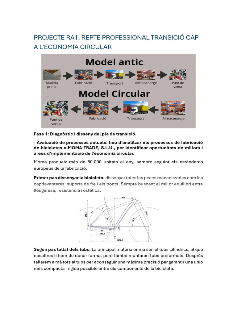 RA4. Projecte Repte Professional | PDF