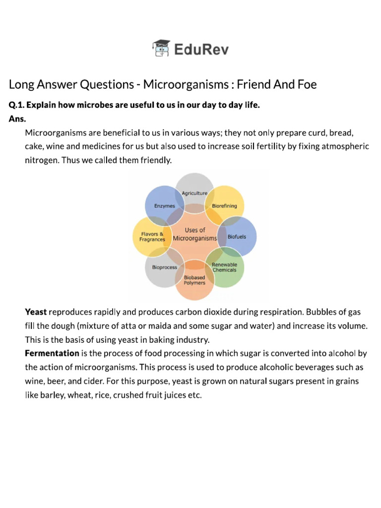 Long Answer Questions - Microorganisms _ Friend And Foe _ Science Class ...