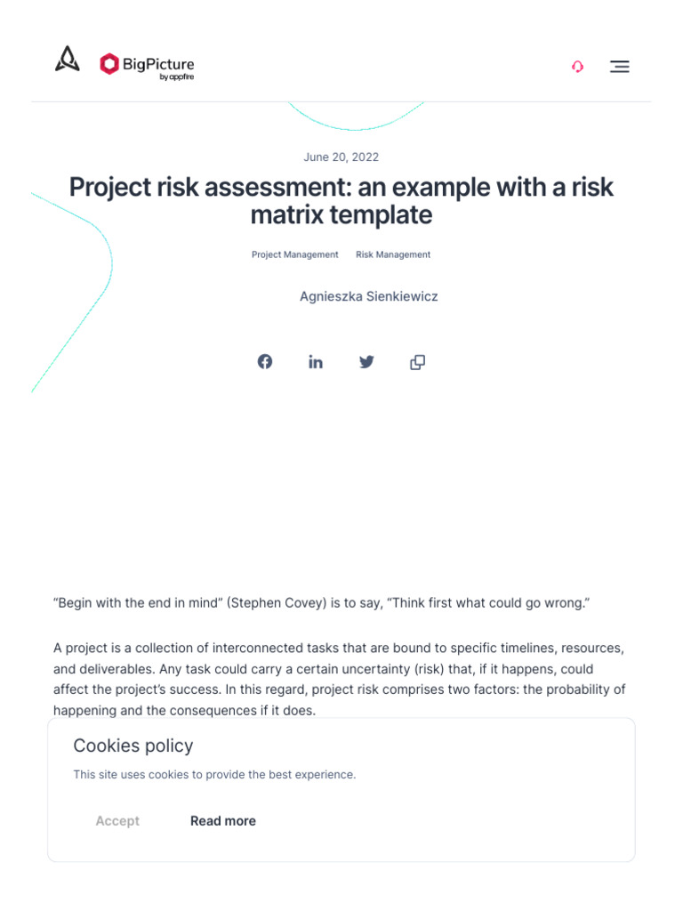 Project Risk Assessment - Example With A Risk Matrix Template | PDF ...