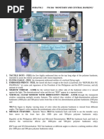 Philippine New Generation Currency | PDF
