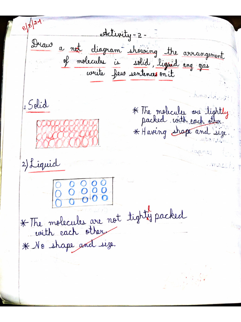 Class 5 EVS Activity | PDF