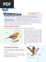 Feet and Claws | PDF | Claw | Birds