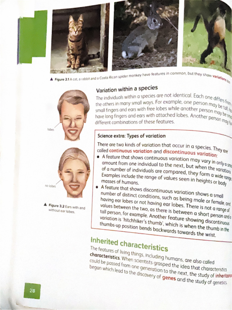 DE94B3EA-654C-409C-9A09-C7547A11FEB0 | PDF