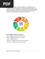DDS 5s | PDF | Motivação | Motivacional