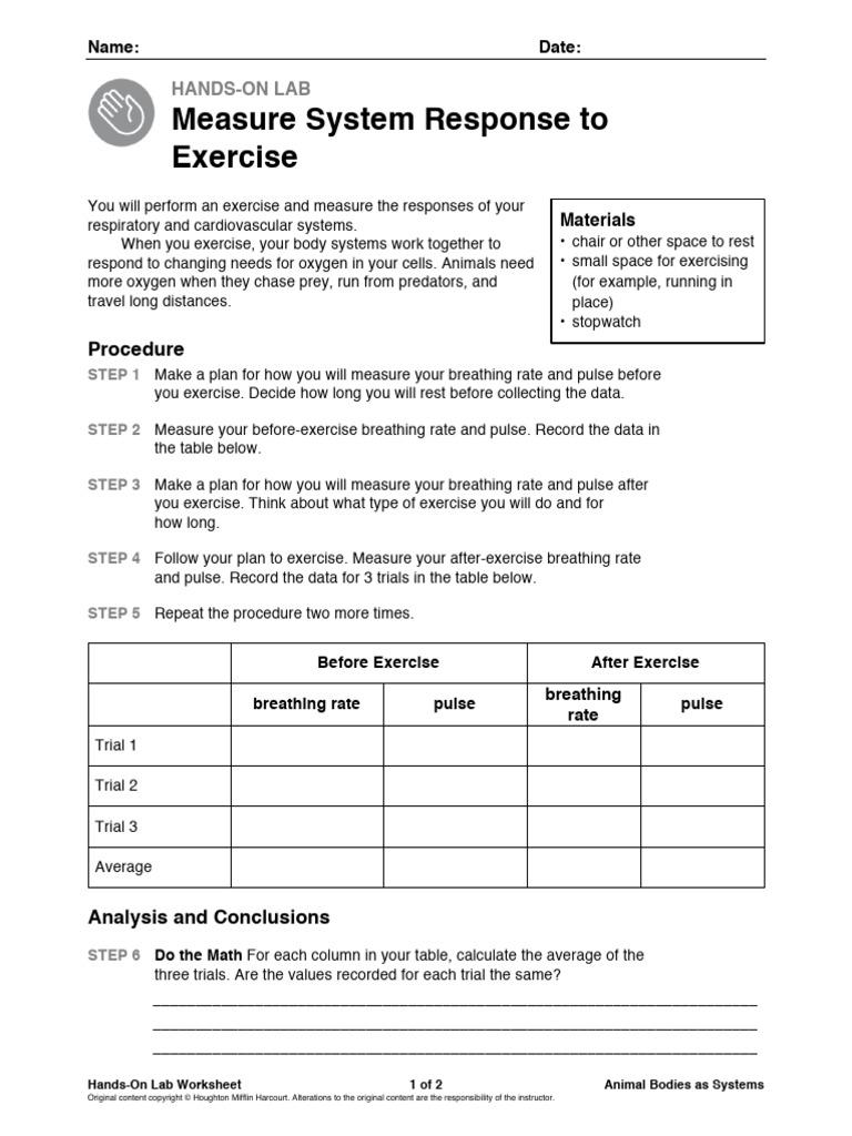 Investigating Homeostasis and Exercise | PDF | Breathing | Lung