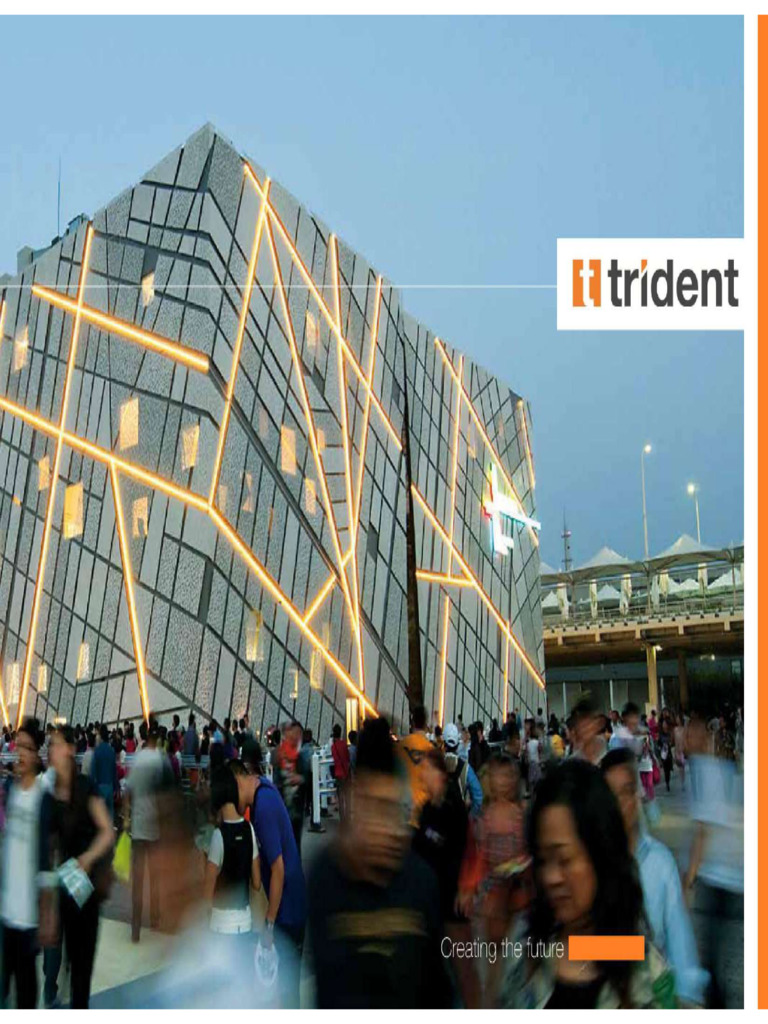 Company Profile -Trident | PDF | Coating | Empowerment